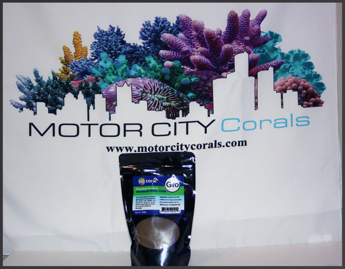ME GFO – Motor City Corals